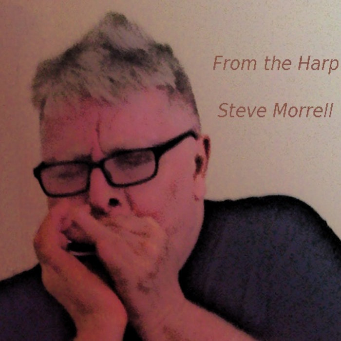 From the Harp | Steve Morrell