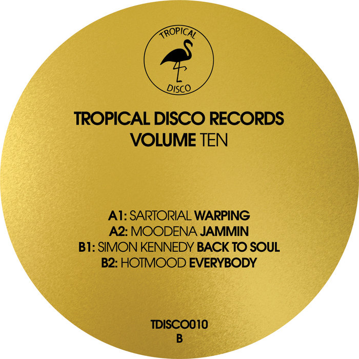 Tropical Disco Vol.10 Vinyl | Tropical Disco Records