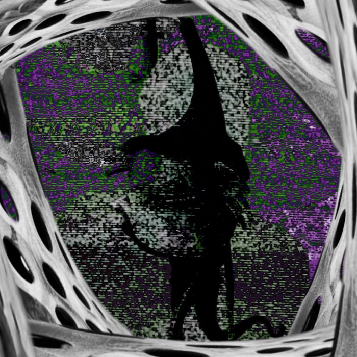 Gouge It Out | Salamander Sam & JJM3 | Salamander Sam