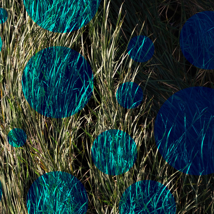 Forest Movements | Roberto Romero Molina