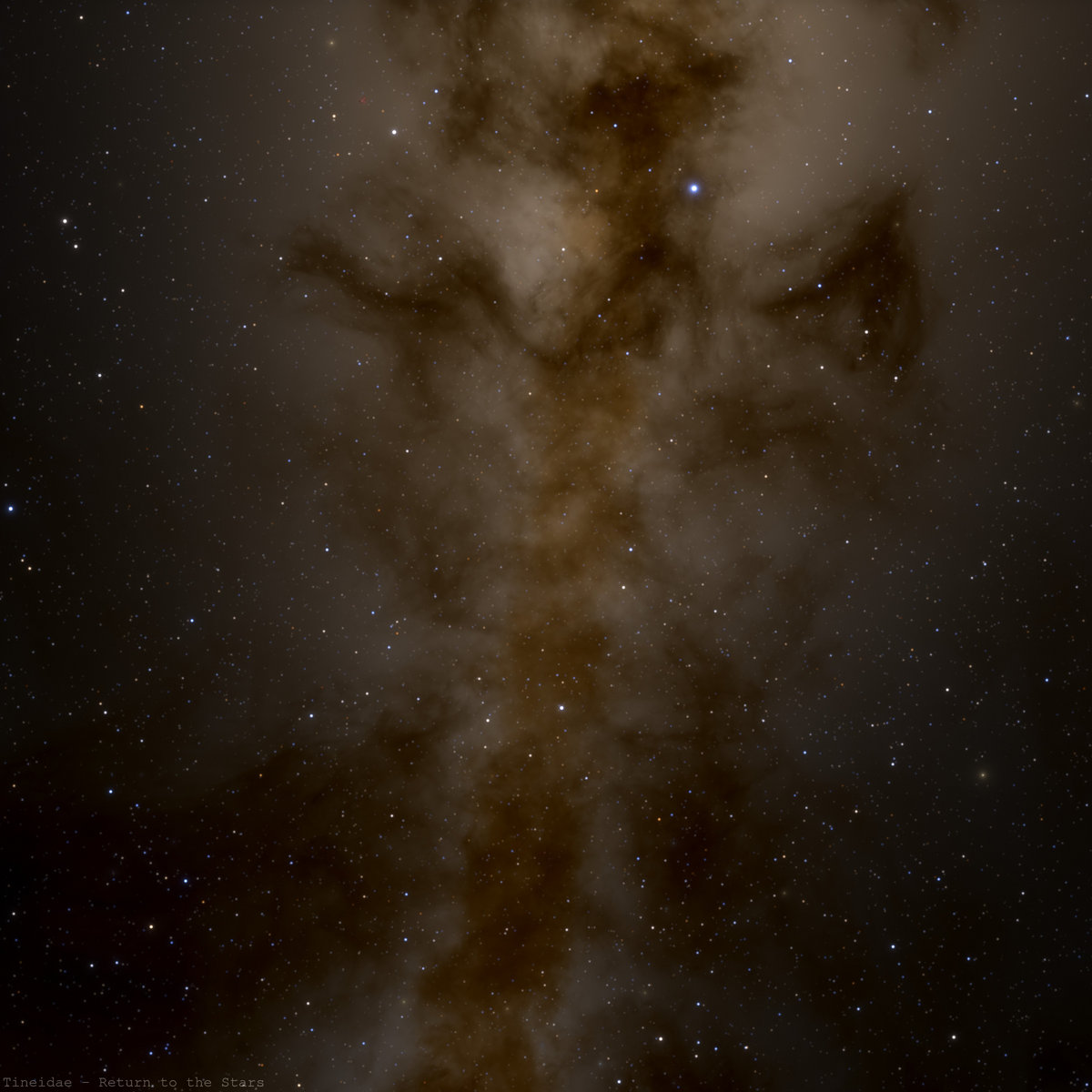 Return to the Stars | Tineidae