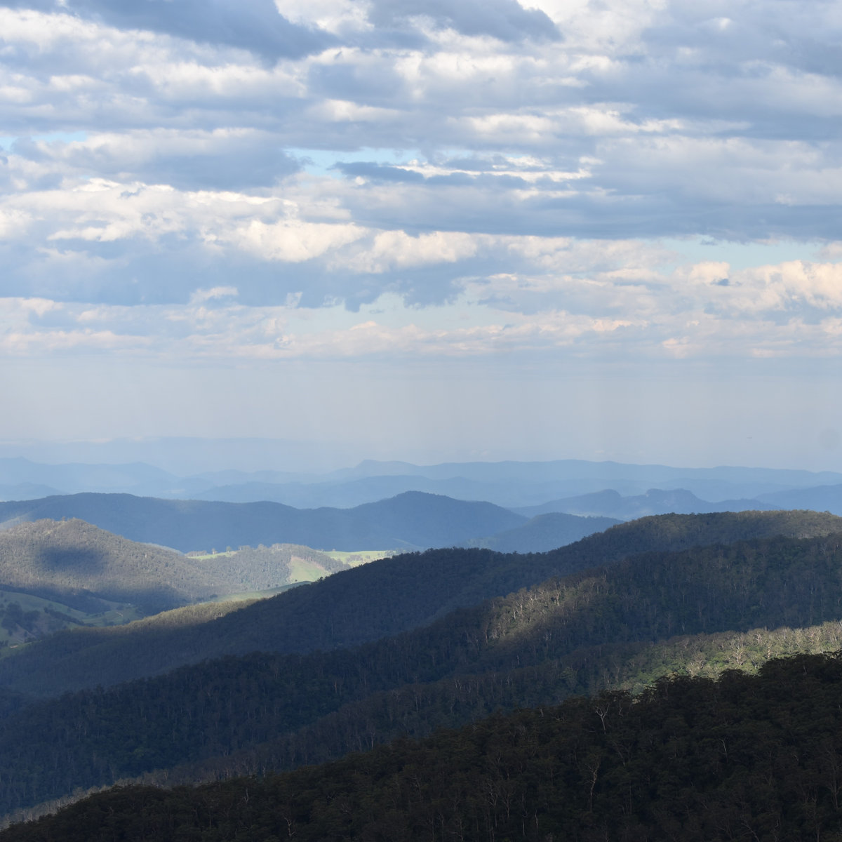Andrew Laurie Lookout | Tay Hikes