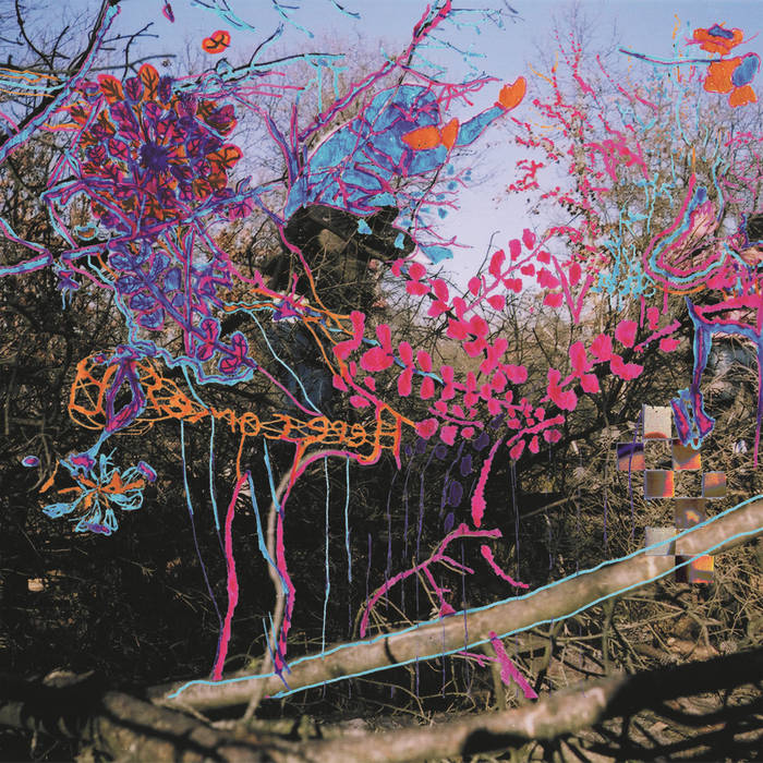 Animal Collective
