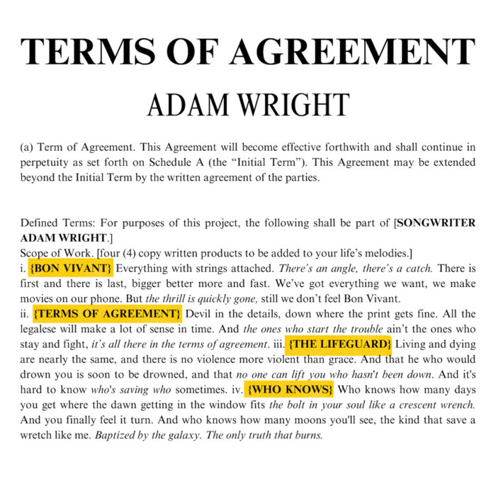 Terms of Agreement | Adam Wright