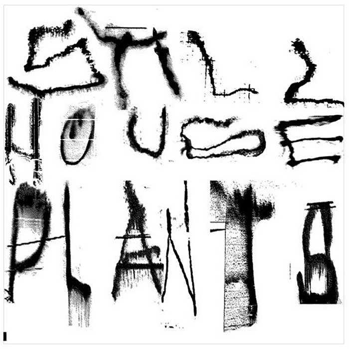 Still House Plants - Live in Open BYM Records | Cosmovisión Registros ...