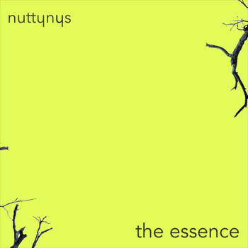 Music | Nutty Nys