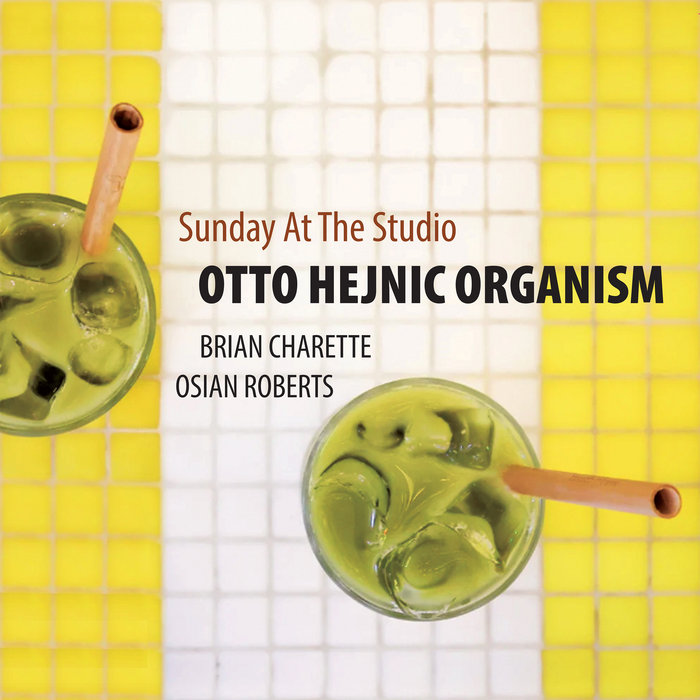 Sunday at the studio | Otto Hejnic organism | Hevhetia