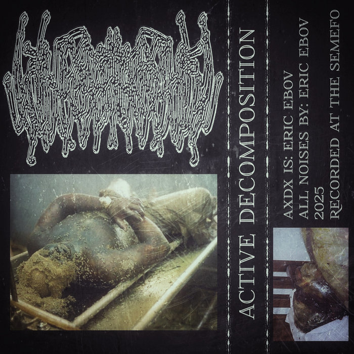 Active Decomposition - Demo | Active Decomposition | Eric Ebov
