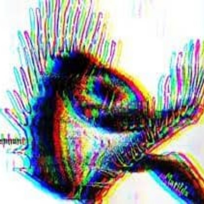 Matilda | Skelephant