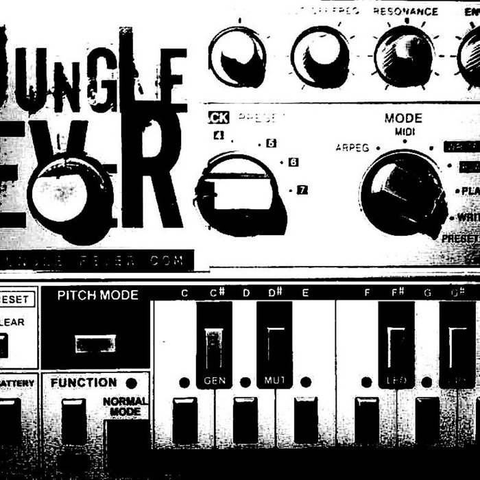 Acid Fool'z | Faceless Junkies Deluxe | Real MF's don't talk Shit aka ...