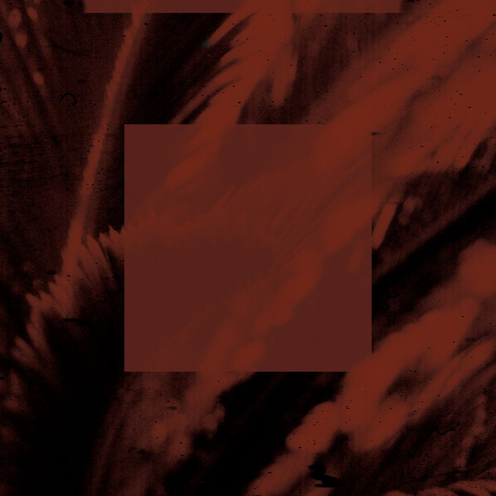 Terminal [demo] | Qwoth