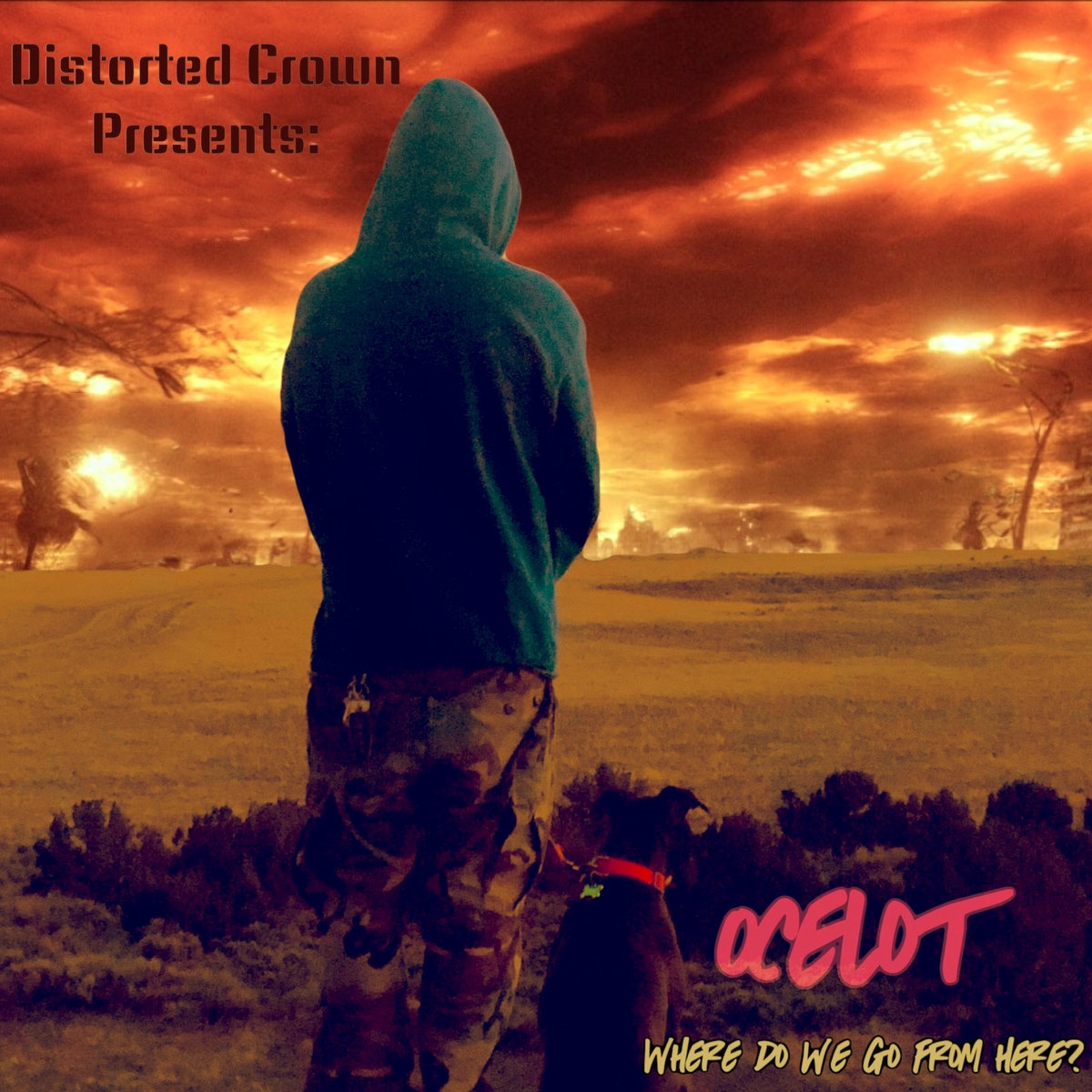 Distorted Crown Presents: Ocelot - Where do we go from here? | Ocelot