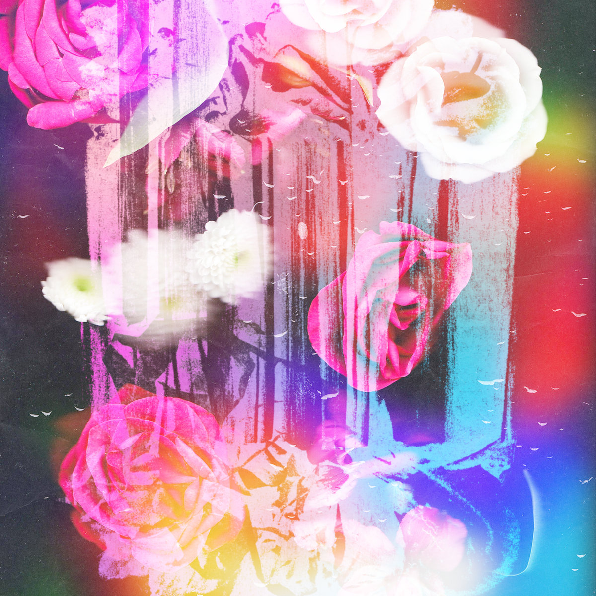 No Fear | The Boombox Generation