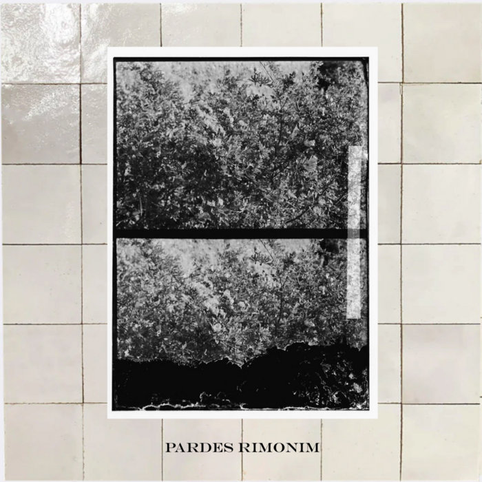 II | Pardes Rimonim | Helena Ford/Des Temps Immémoriaux