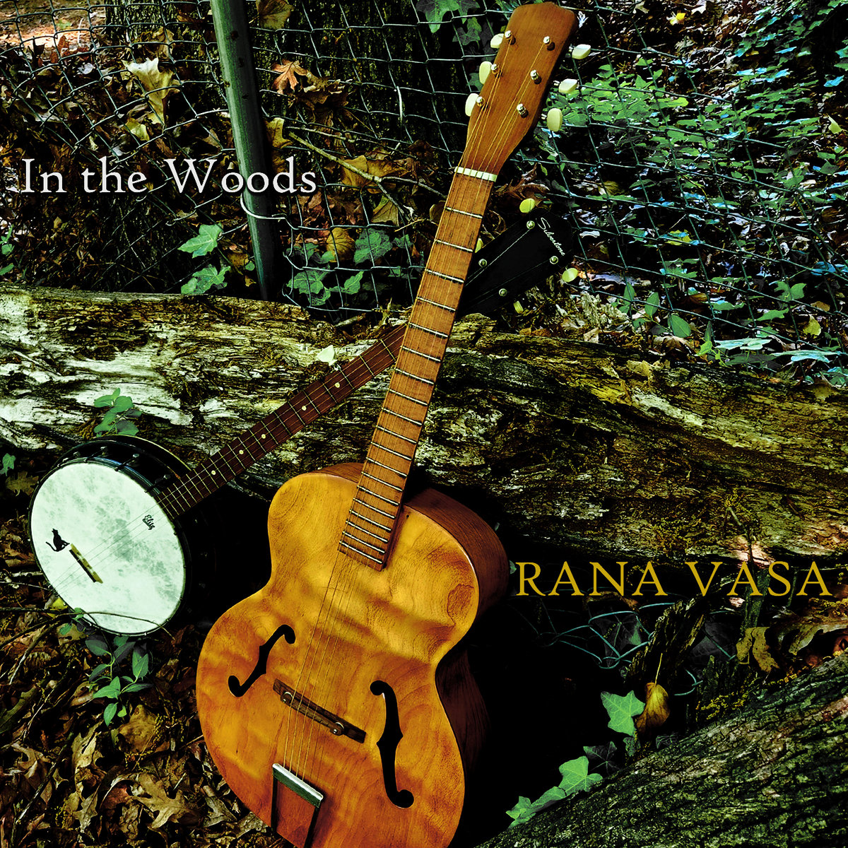 In The Woods | Gabriel Godwin