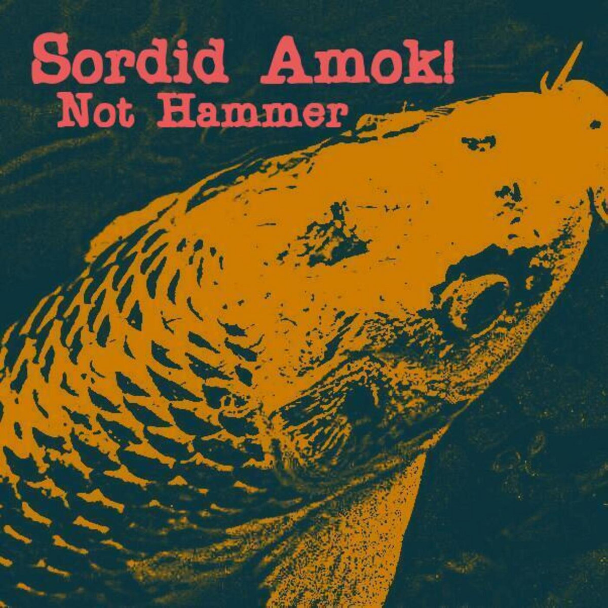 Not Hammer | Sordid Amok!