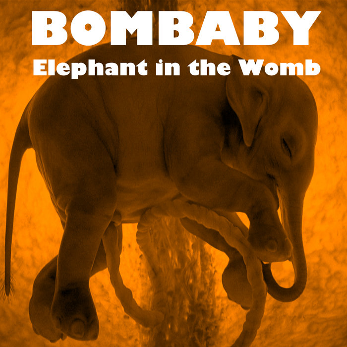 Elephant in the Womb | Bombaby