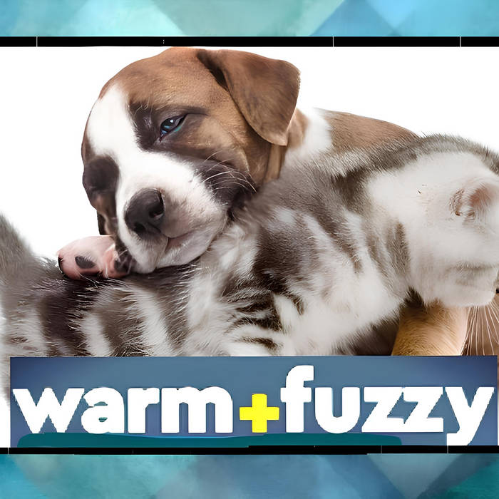 Warm & Fuzzy | Bob Wingate