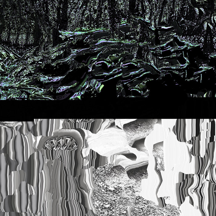 The Polymorphia - EP | Digital Bath | Sosa Sounds
