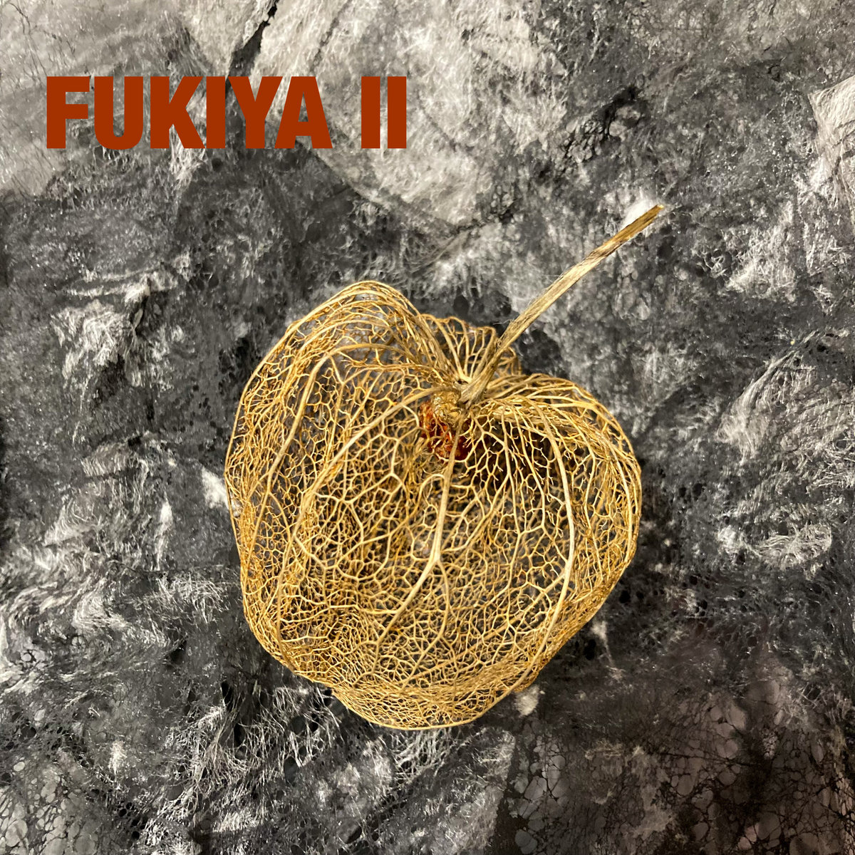 FUKIYA Ⅱ | masayo koketsu | Masayo Koketsu