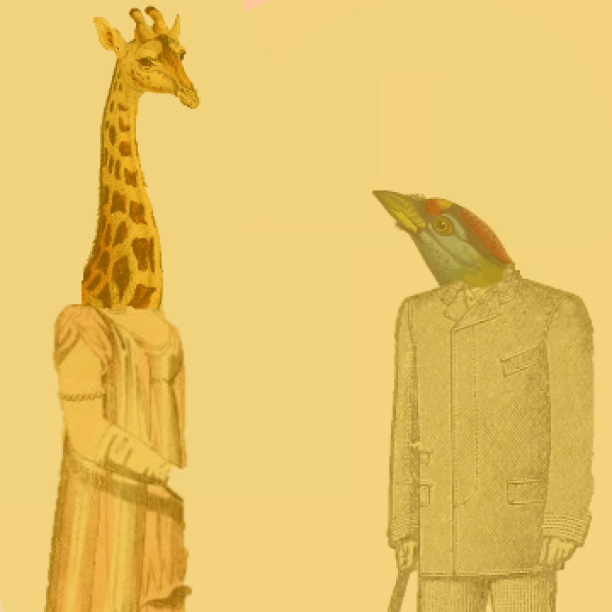 Caroline | Zane Odell | Wirehead Collective