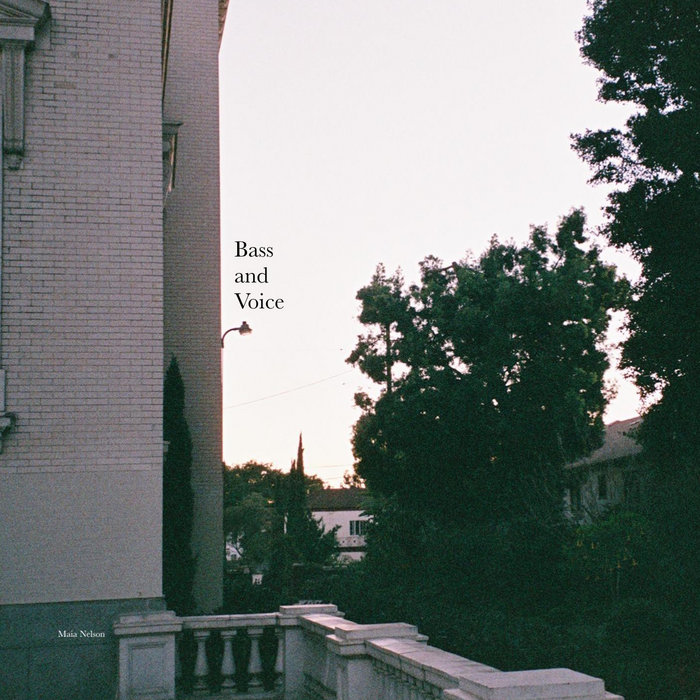 Bass and Voice | Maia Nelson