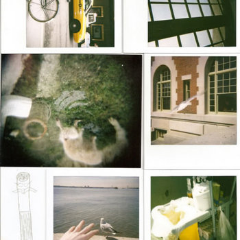 Music | Blithe Field