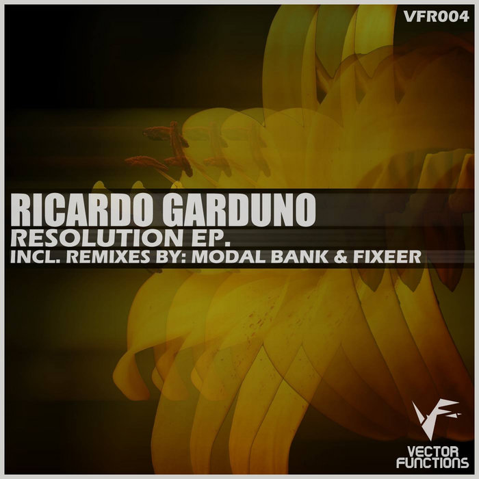 Resolution EP | Ricardo Garduno | Vector Functions Records
