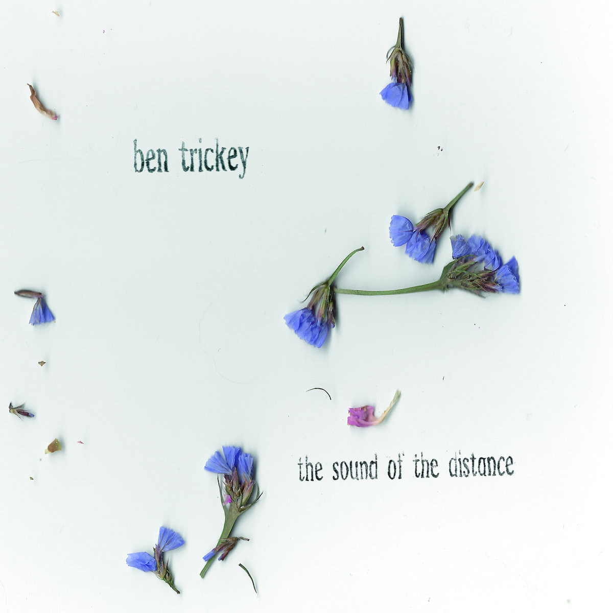 The Sound of the Distance | Ben Trickey