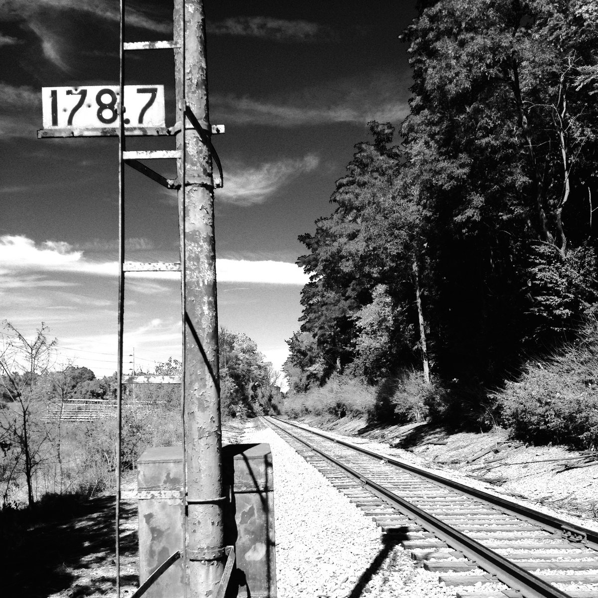 Phantom Pain | Tim McCann