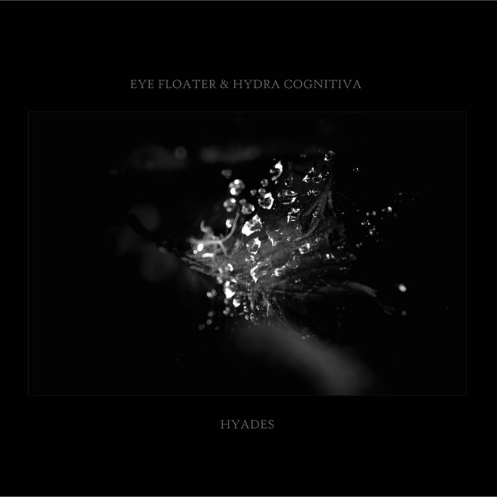 Canícula | Hydra Cognitiva & Eye Floater | Hydra Cognitiva