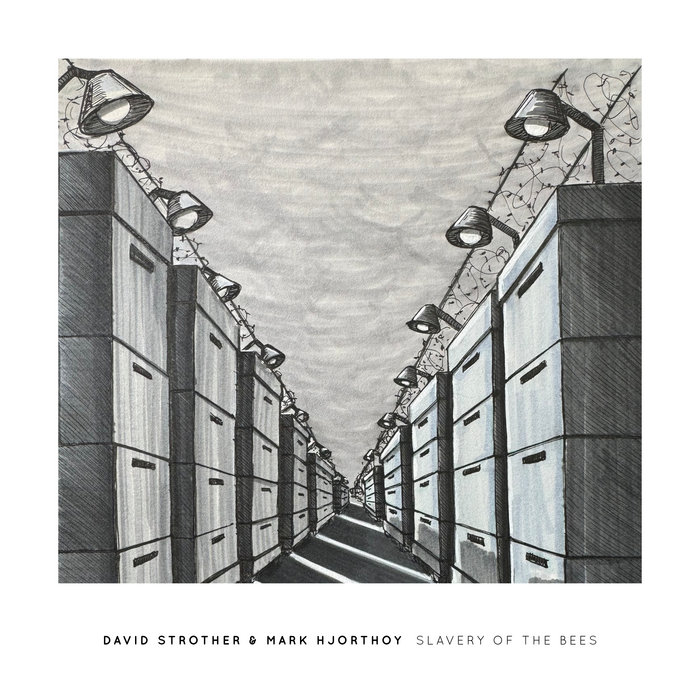 Slavery Of The Bees | David Strother & Mark Hjorthoy | Adventurous Music