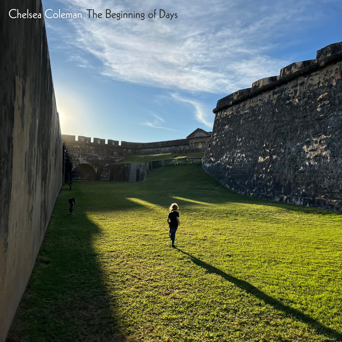 The Mercenary | Chelsea Coleman