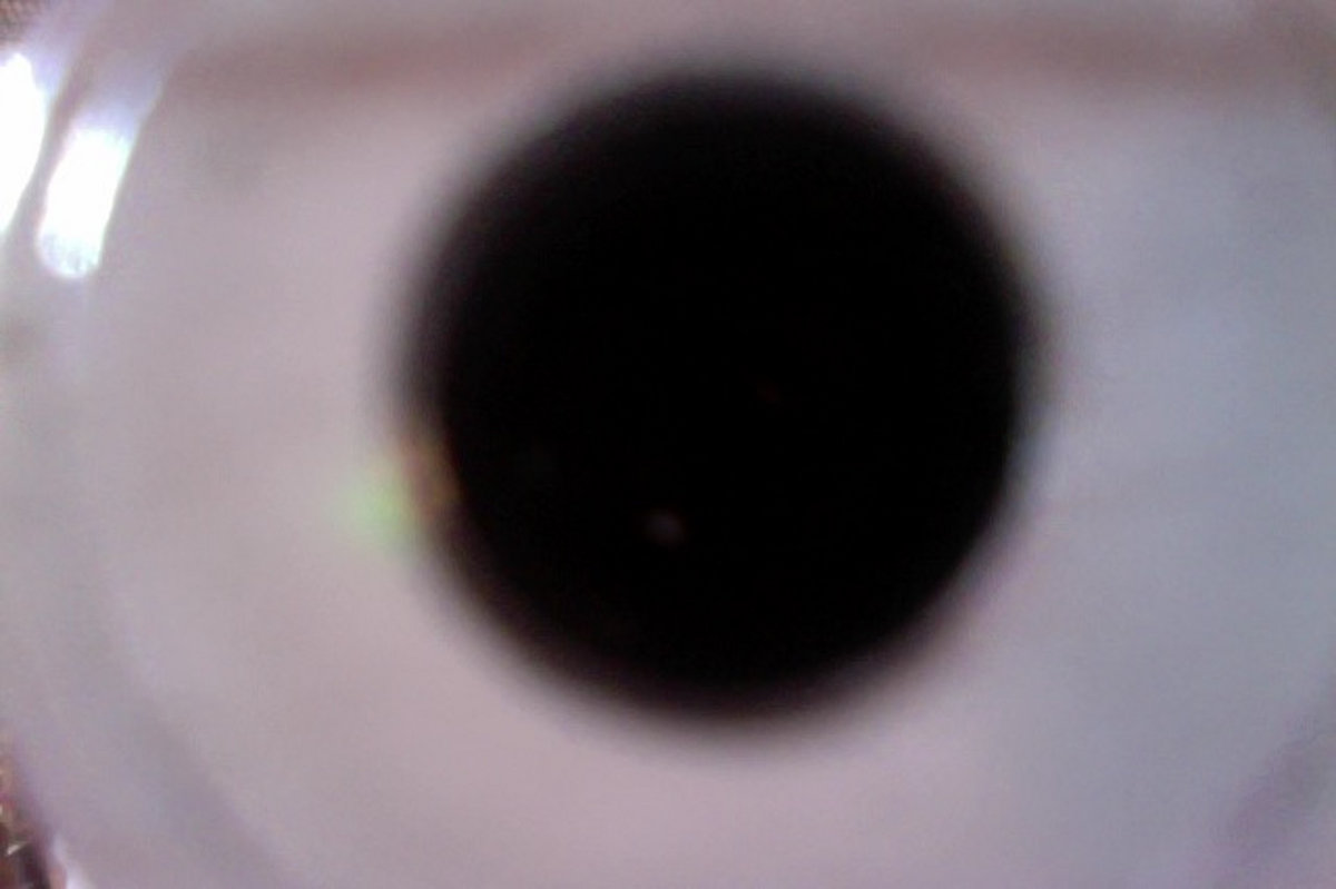 mr. big time | Matthew Caleb Flamm