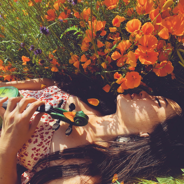 Flow to Fly - NorCal | Jamie Shadowlight