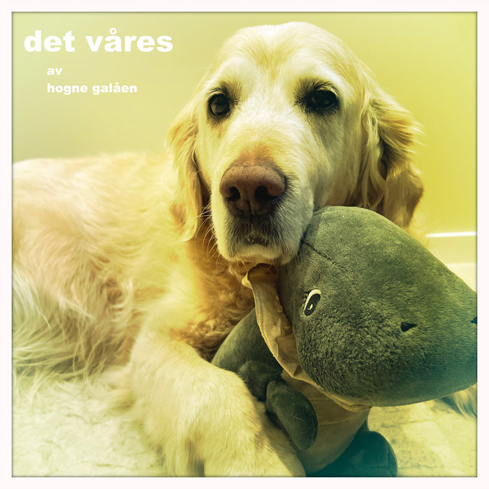 Det våres | Hogne Galåen
