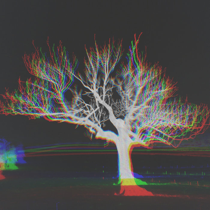 Deep Rooted Black Magick | Witchwood Wizard & The Psychic Yeti