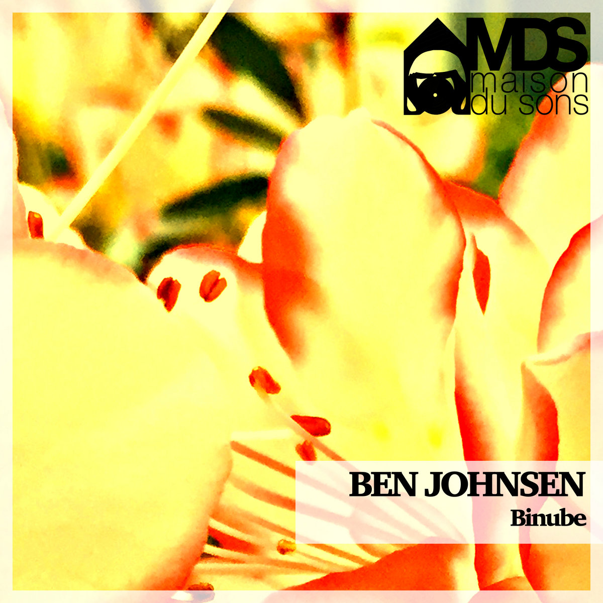 Binube | Ben Johnsen | Maison du Sons