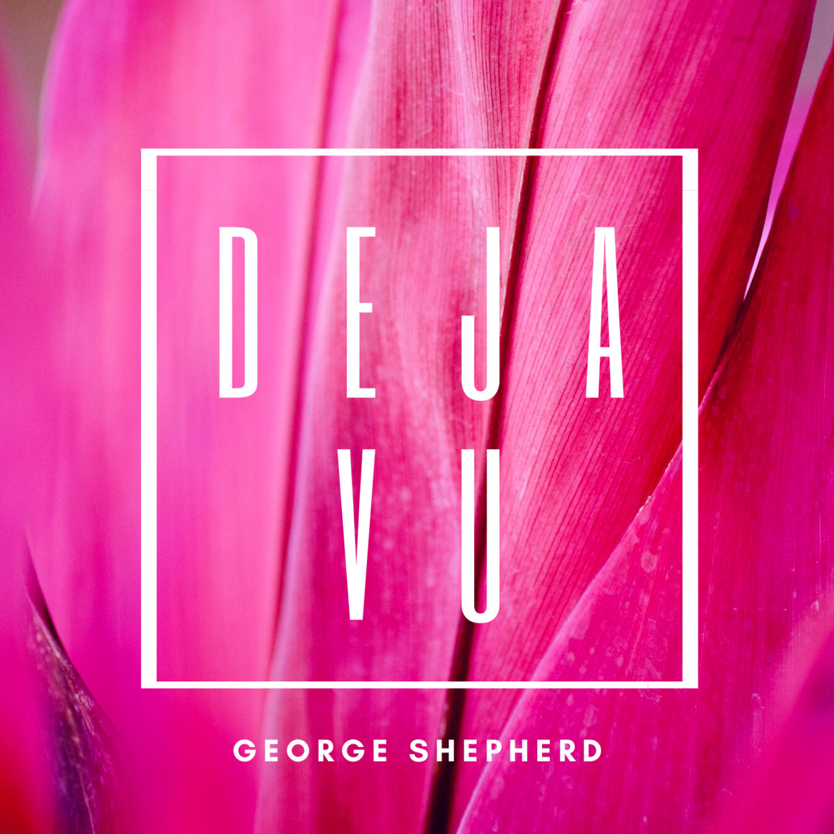 Deja Vu Sessions | George Shepherd