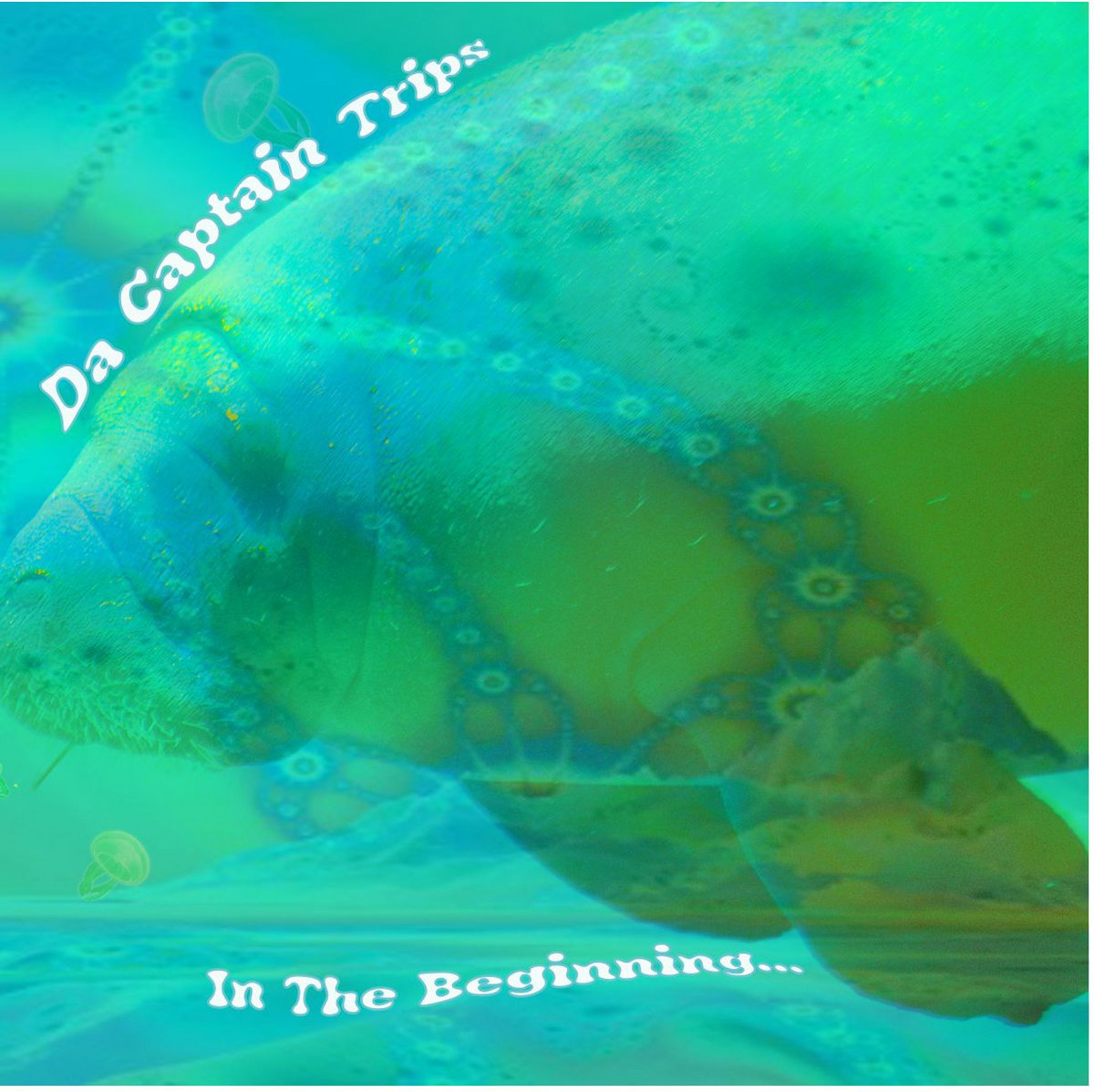 In The Beginning... | Da Captain Trips