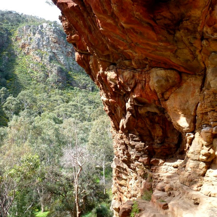 Rock Rage | Moonfish | Ade J. Baker