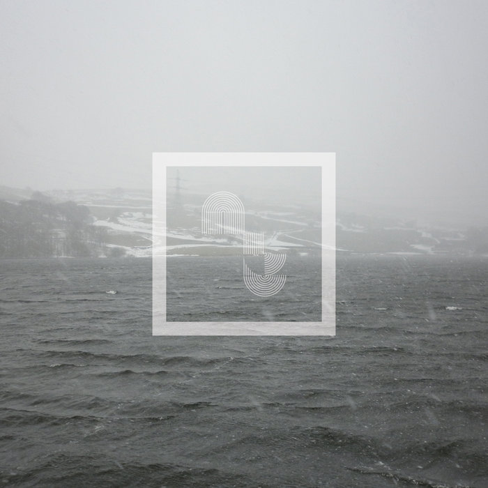 Dark Water Pond | Circle Of Pines | Neotantra