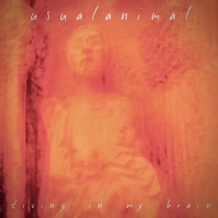 Diving in my Brain | UsualAnimal