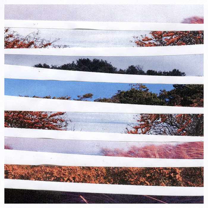 Shifting Distance | Kinbote