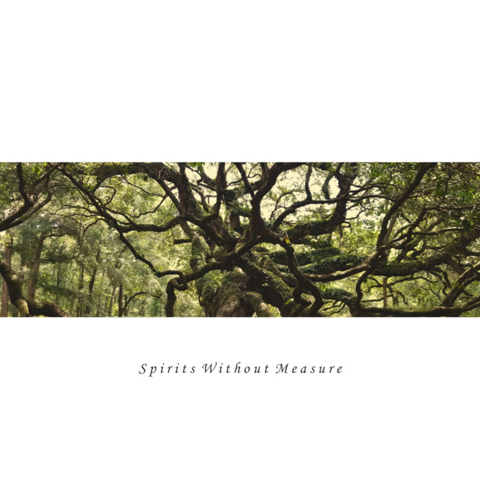 Spirits Without Measure | Spirits Without Measure