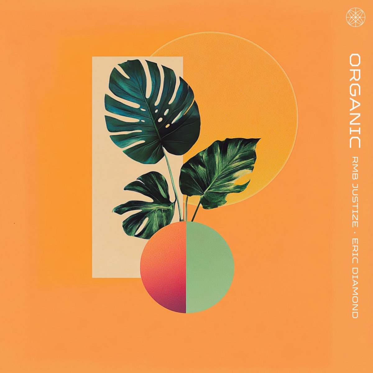 Organic (with Eric Diamond) | RMB Justize & Eric Diamond | RMB Justize