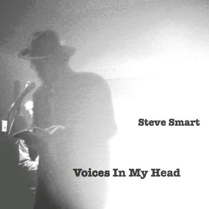 Voices In My Head - Disc 1 | Steve Smart Poetry & Music