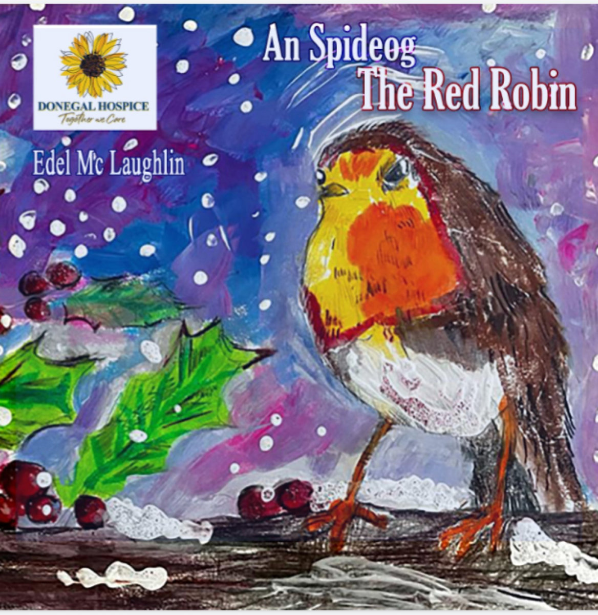 An Spideog: The Red Robin | Edel Mc Laughlin