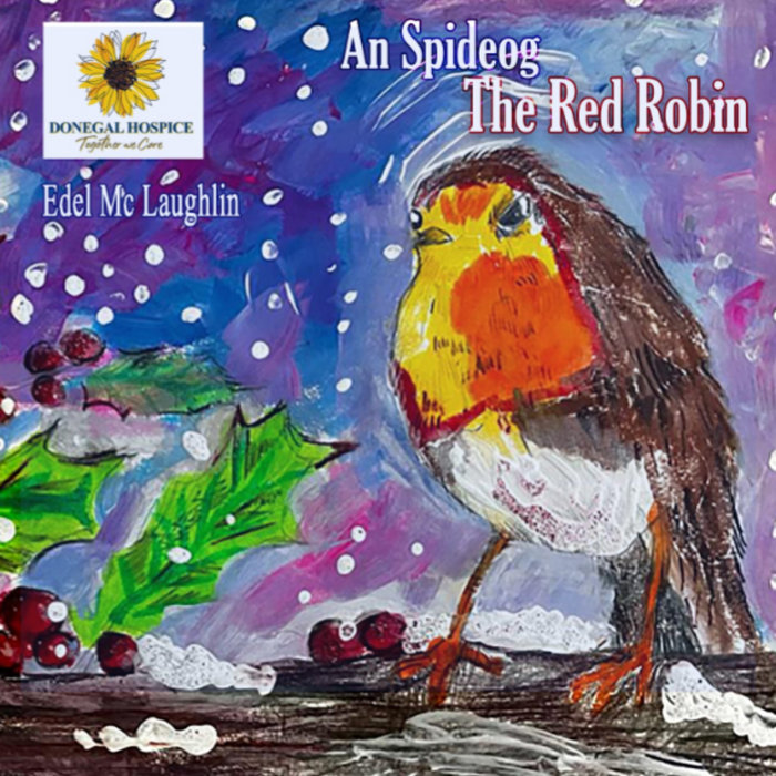 An Spideog: The Red Robin | Edel Mc Laughlin