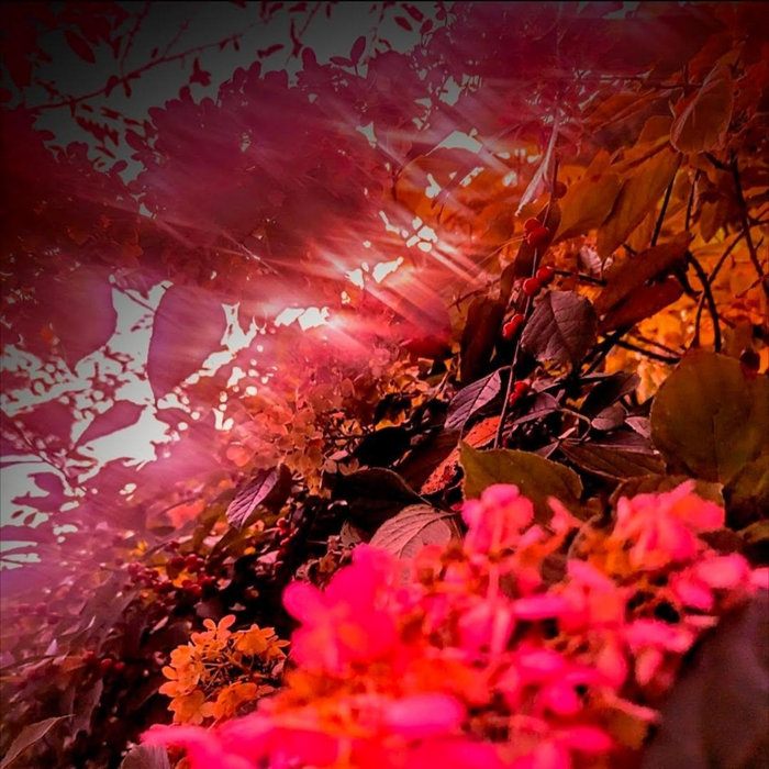 sunsets are forever | Vëlhtrhaq, to writhe love on her arms | to writhe ...